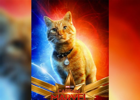 Marvel festeja a Goose en el Día Internacional del Gato | TN8.ni