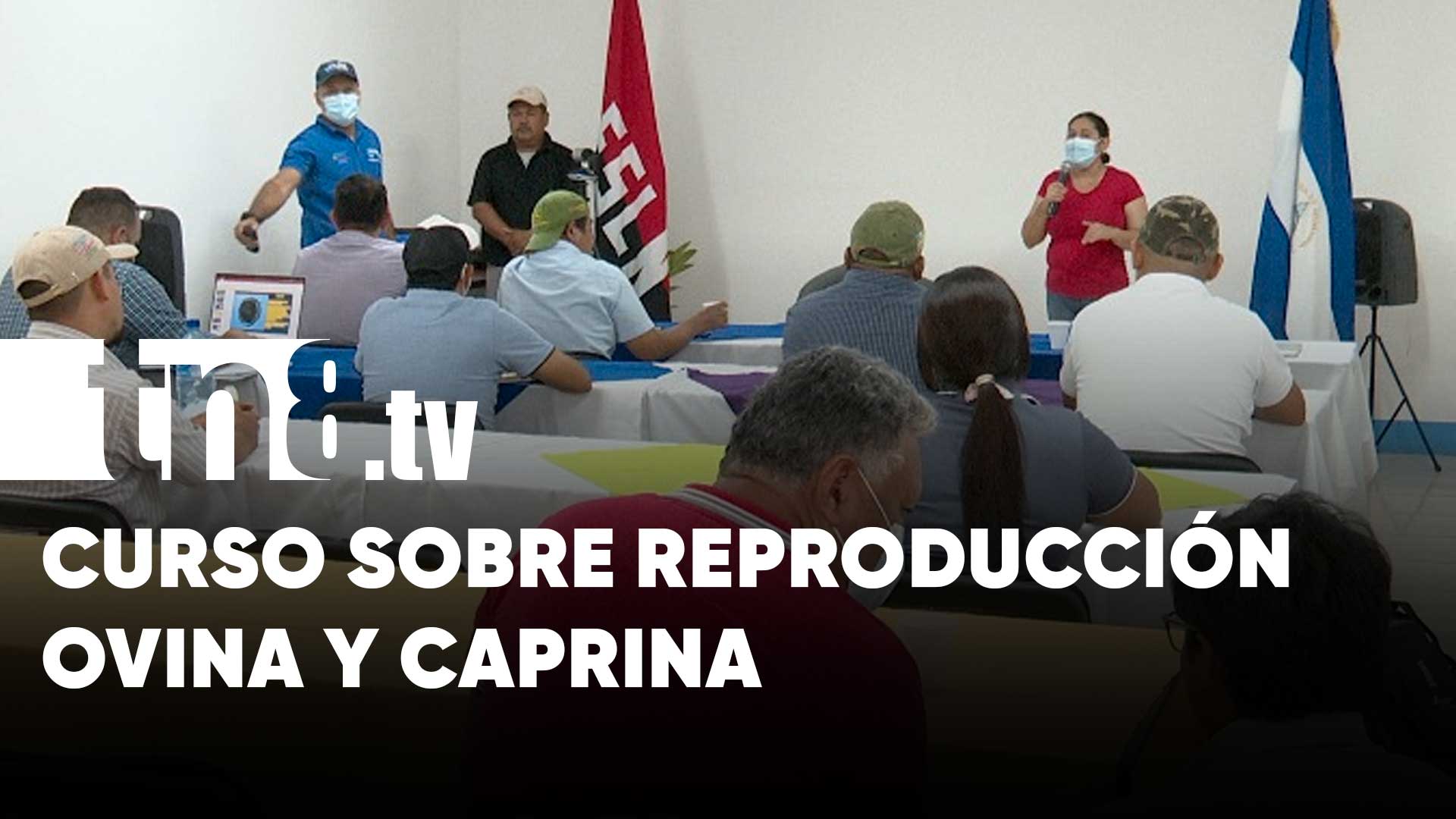 INTA imparte curso sobre reproducción ovina y caprina en Nicaragua | TN8.ni