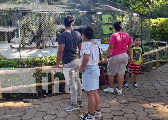 Parque Zoológico Nacional: Un espacio que debe visitar en esta Semana ...