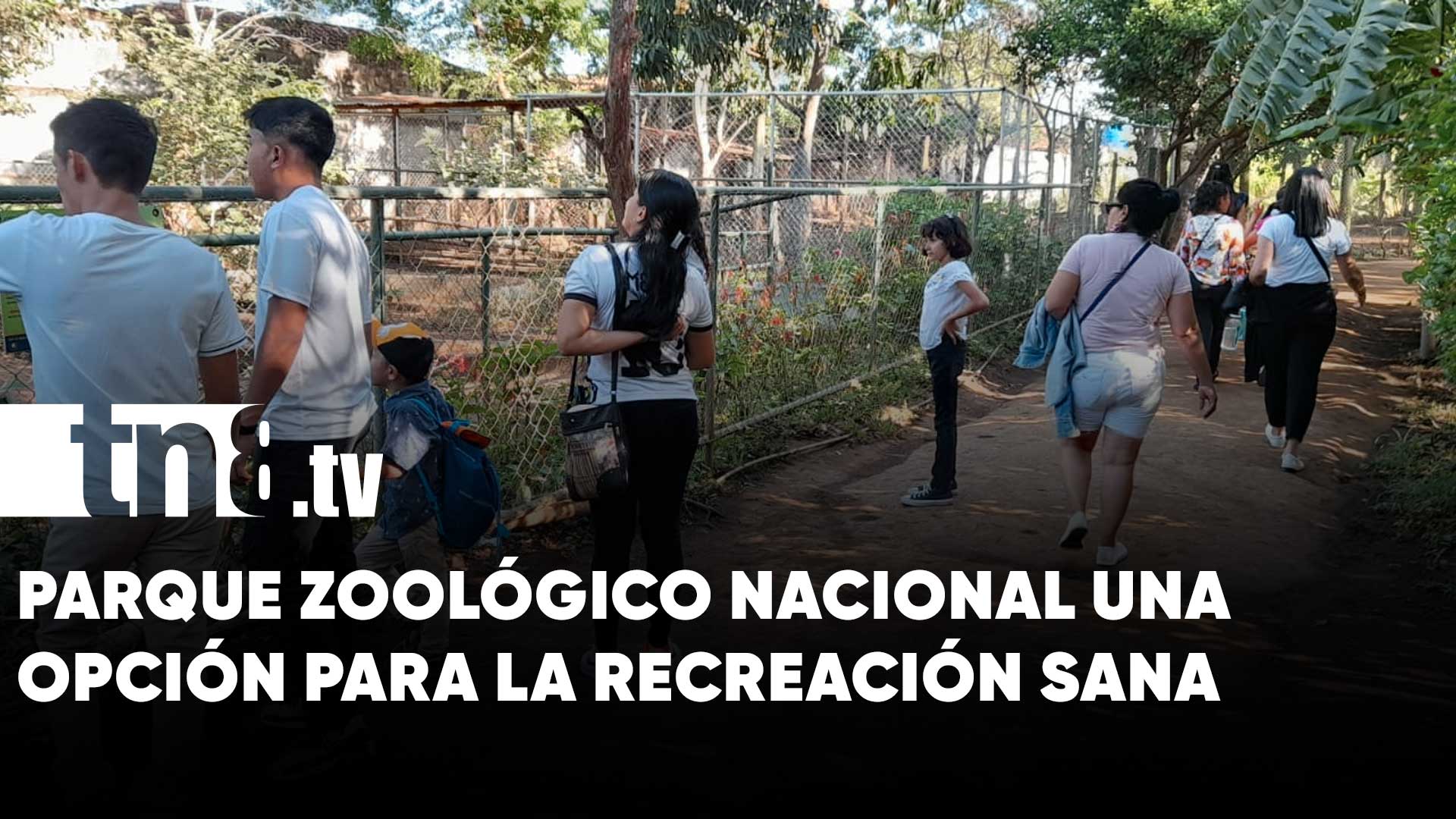 Parque Zoológico Nacional: Un espacio que debe visitar en esta Semana ...