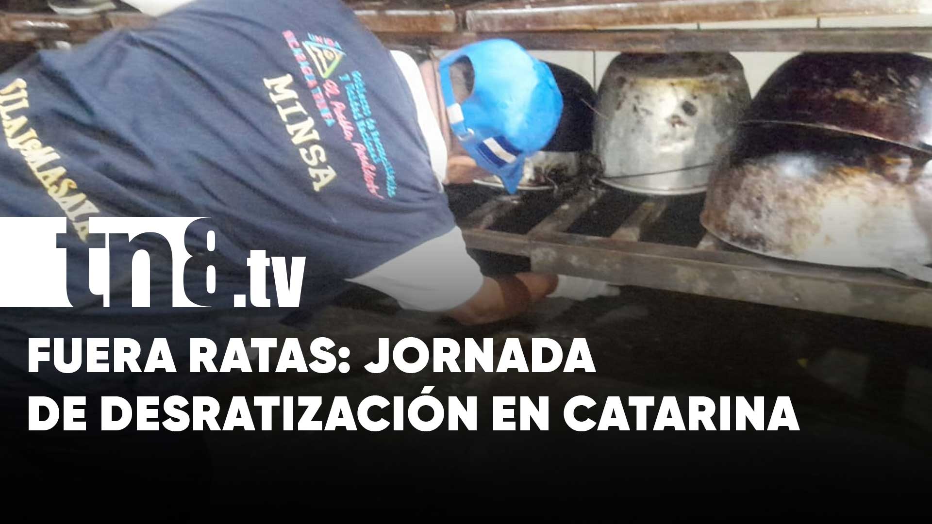 Segunda jornada de desratización llegara a más de 3 mil puntos en ...