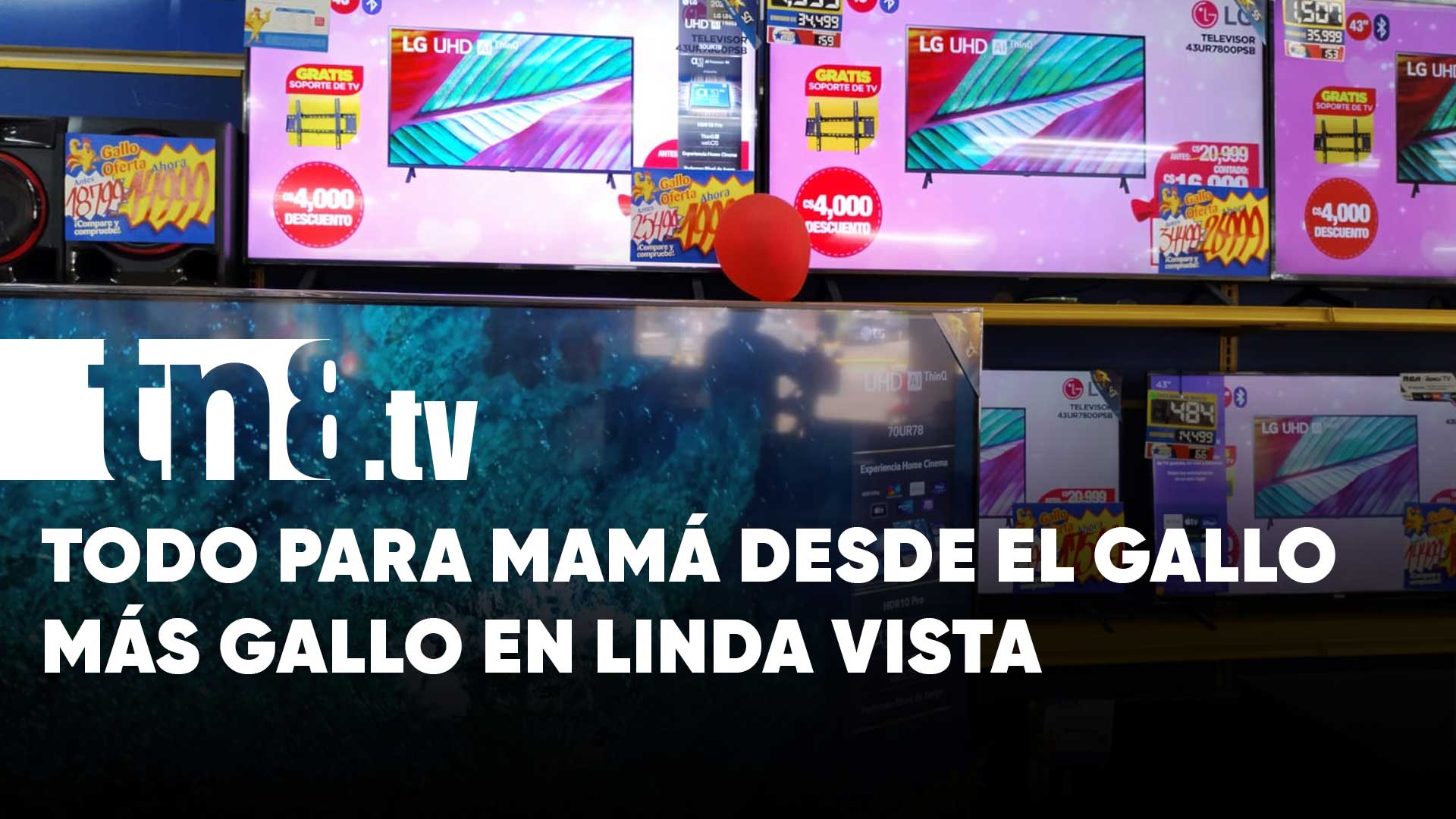 El Gallo Más Gallo en Linda Vista con el mejor regalo para mamá | TN8.ni