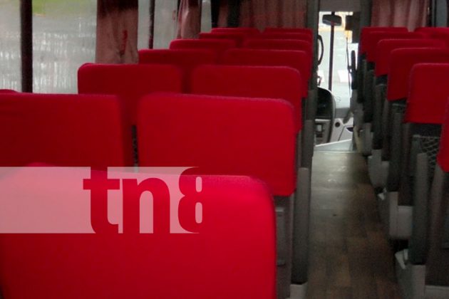 Transporte del Sol presenta nueva flota de autobuses de lujo en ...