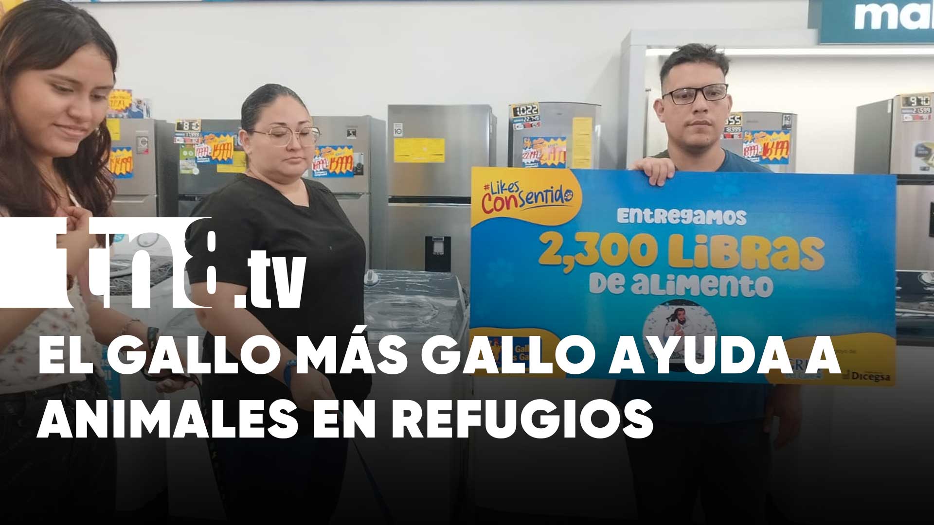 El Gallo más Gallo conmemora el Día Internacional del Perro con una ...