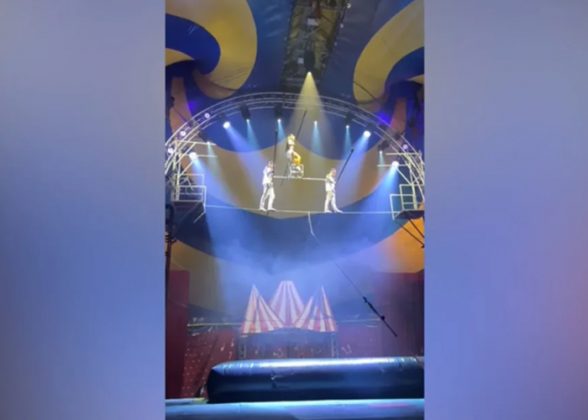 Acróbata de circo se "desmarimba" en pleno espectáculo | TN8.ni