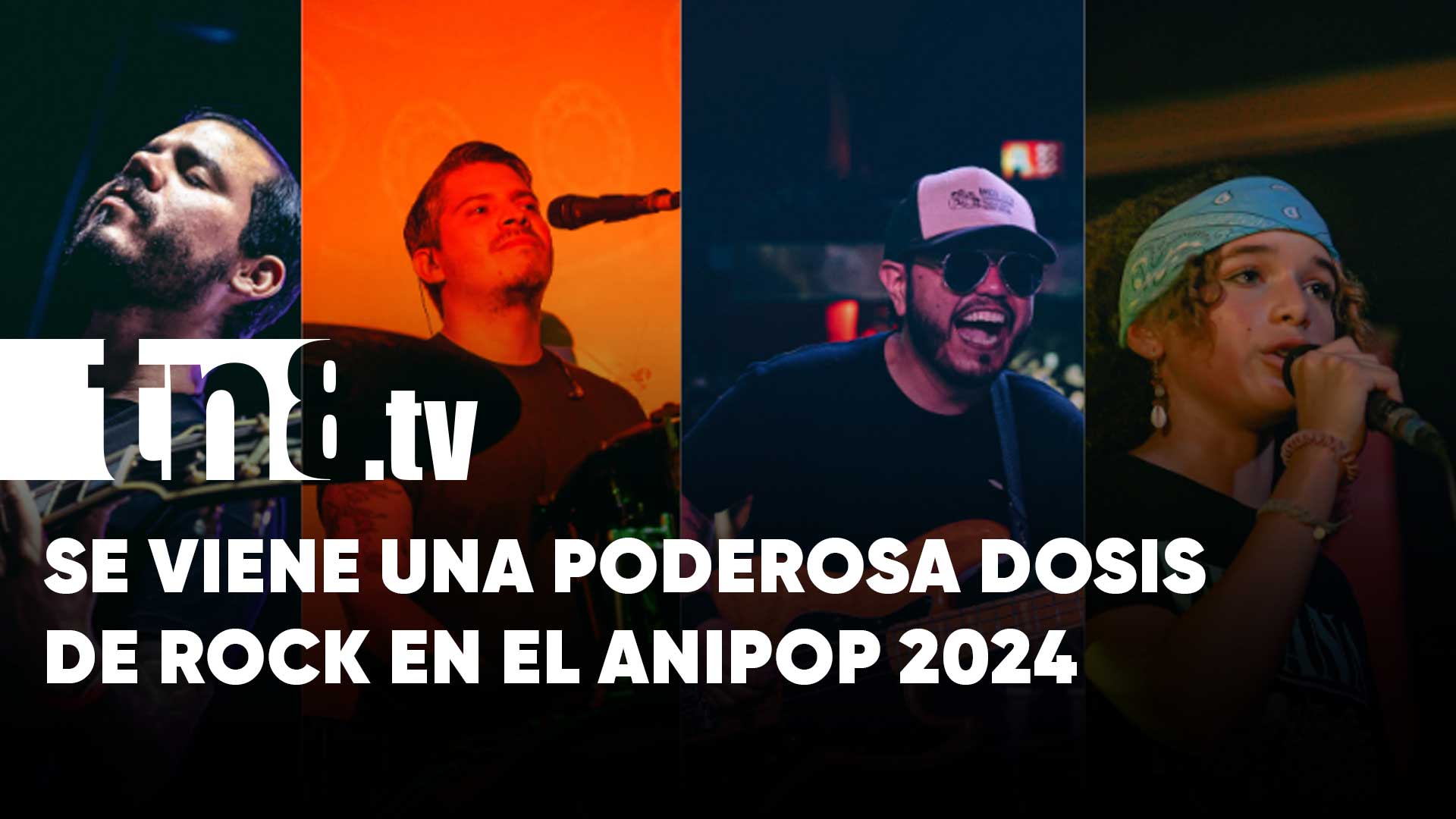 Camino al AniPop 2024 - Ciclo, Q69K y más rock para disfrutar | TN8.ni