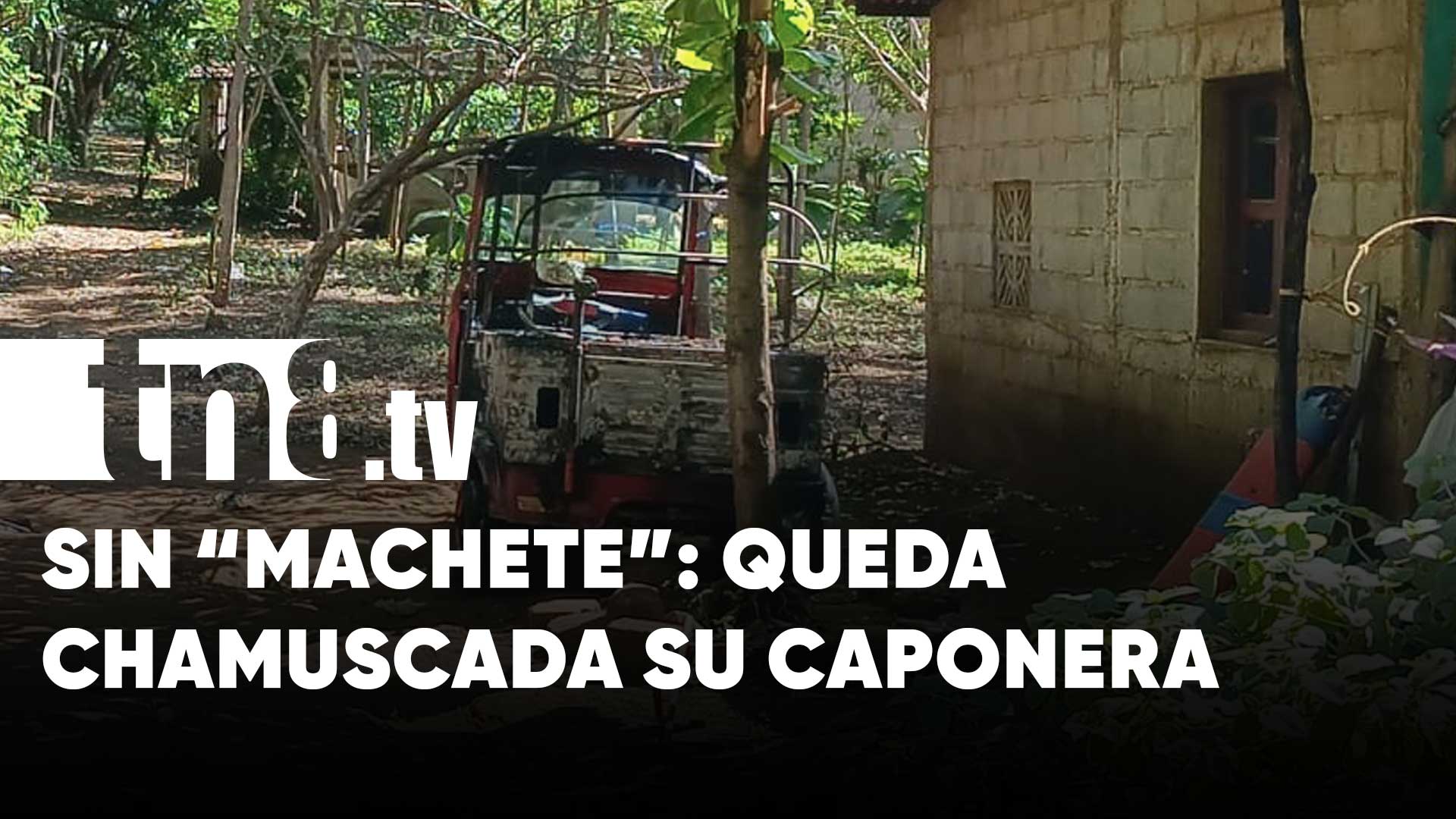 Caponera chamuscada y familia pierde su herramienta de trabajo | TN8.ni