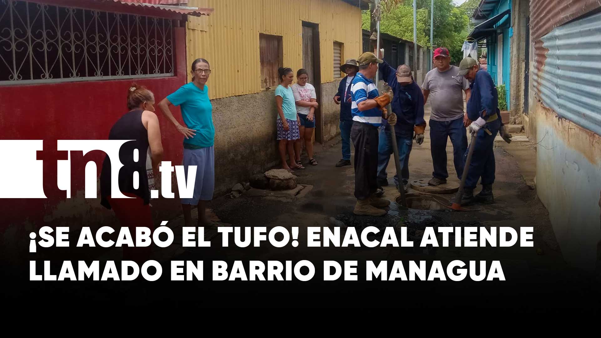 Respuesta a familias afectadas por un manjol 'tufoso' en Jardines de ...