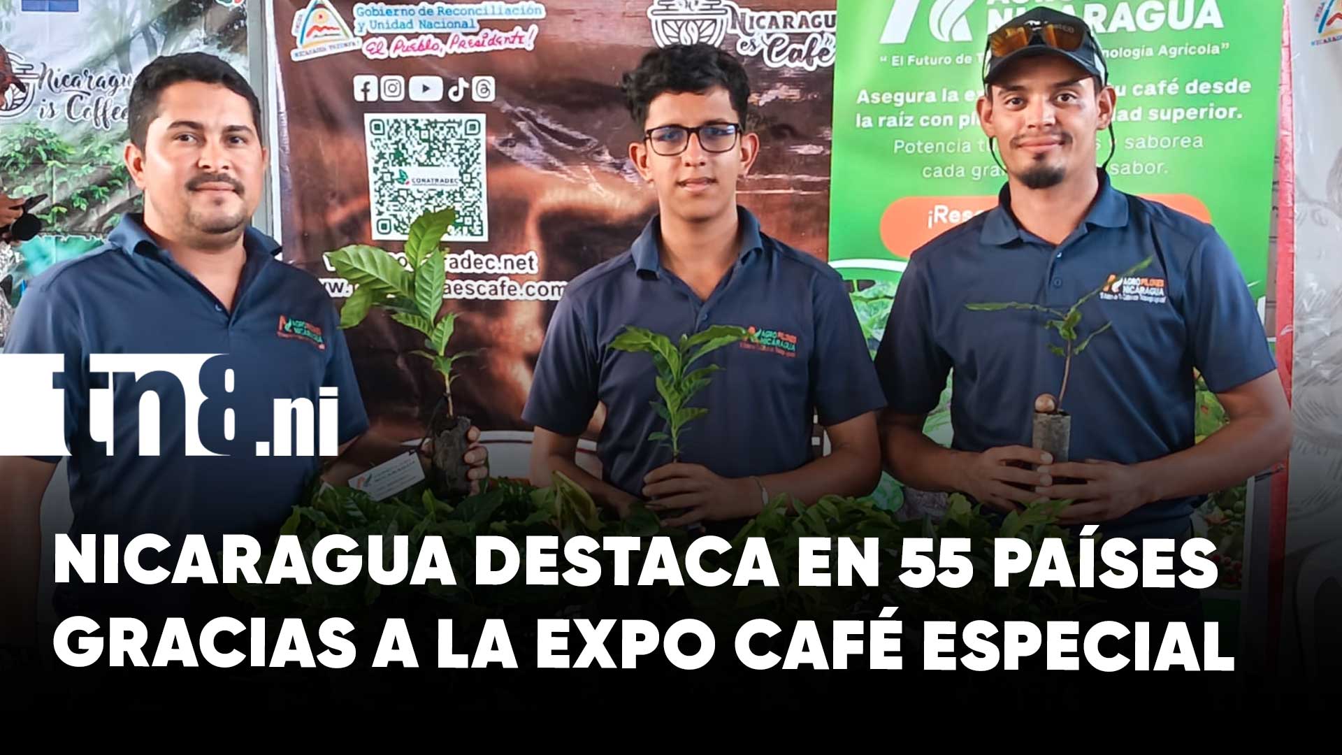 Nueva Segovia brilla con la Cuarta Expo Café Especial 2025 | TN8.ni
