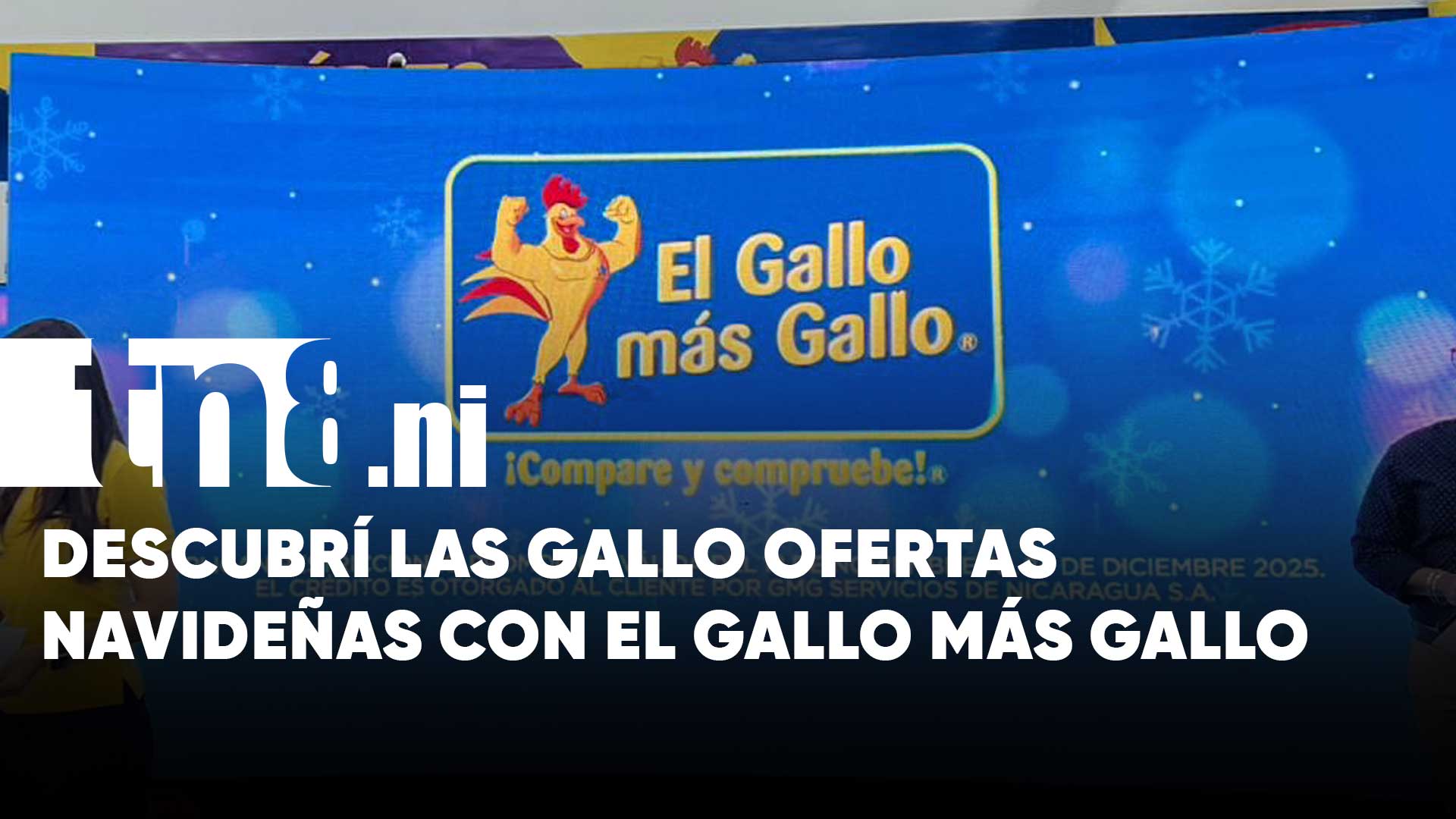 Gallo Ofertas Navideñas: Iluminá tu Navidad con El Gallo Más Gallo | TN8.ni