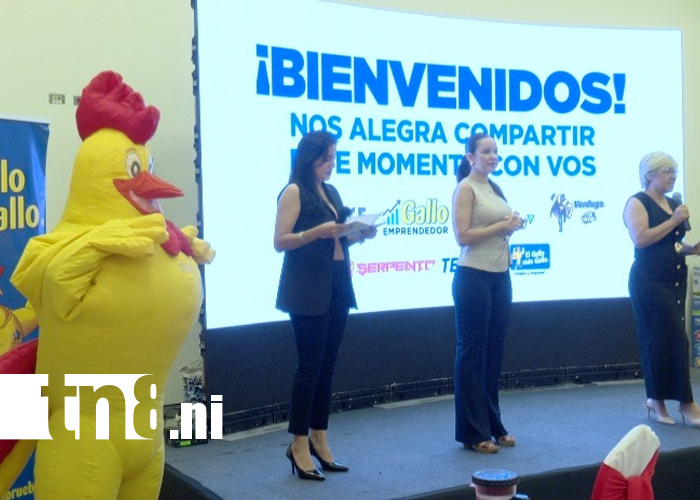 El Gallo Más Gallo arranca 2026 con promociones, premios y grandes ...