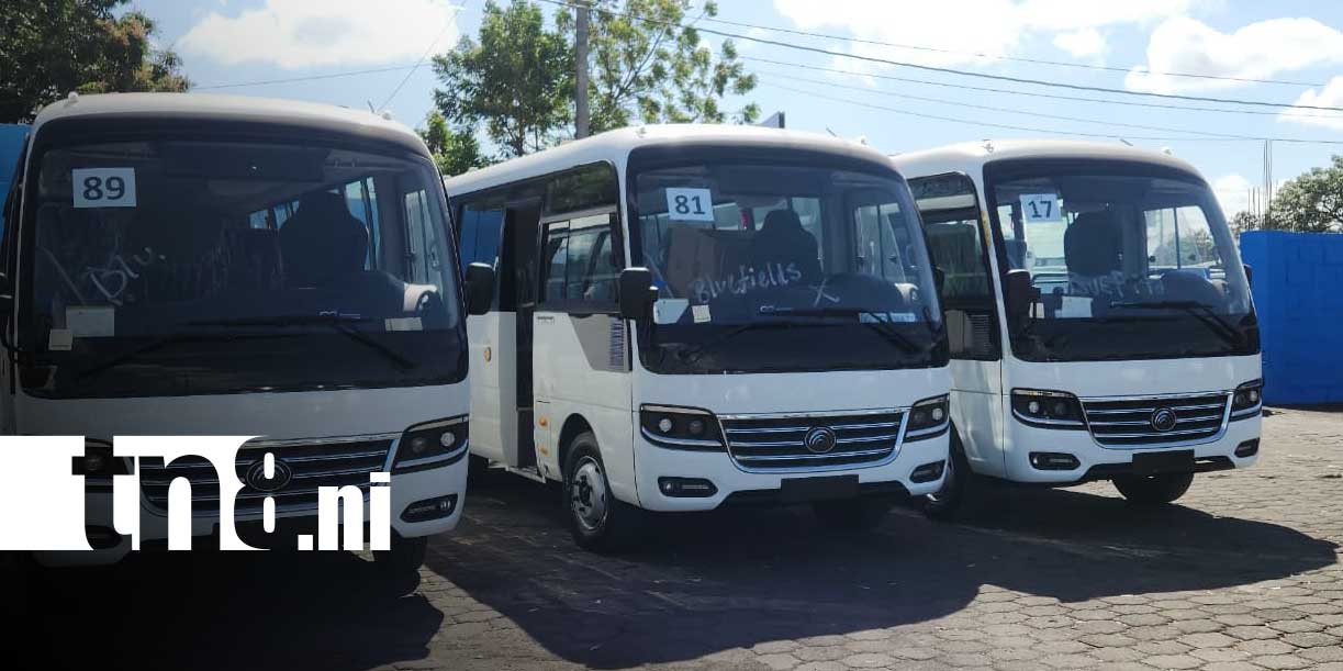Costa Caribe recibe 46 nuevos microbuses: Paiwas tendrá uno por primera ...