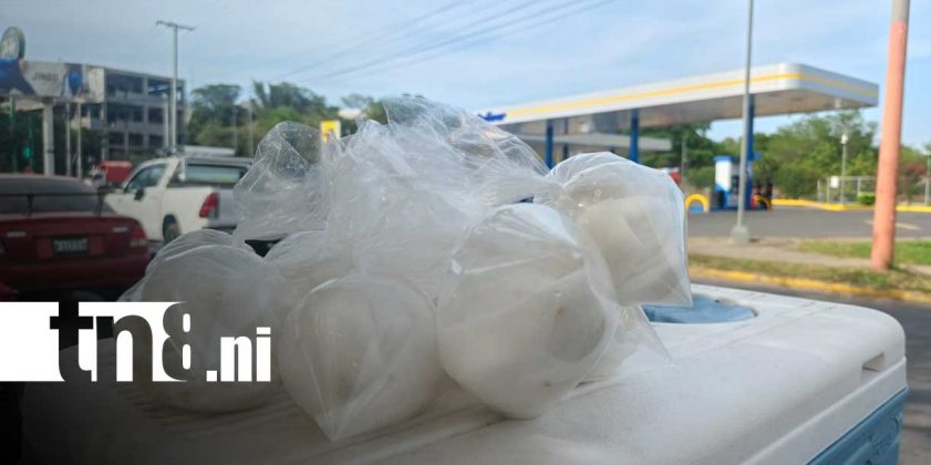 Managua se refresca con coco ante las sofocantes temperaturas | TN8.ni