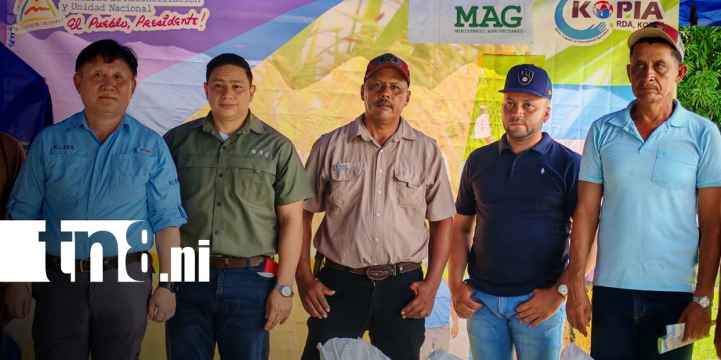 Rivas fortalece su producción de arroz con apoyo del proyecto KOPIA ...